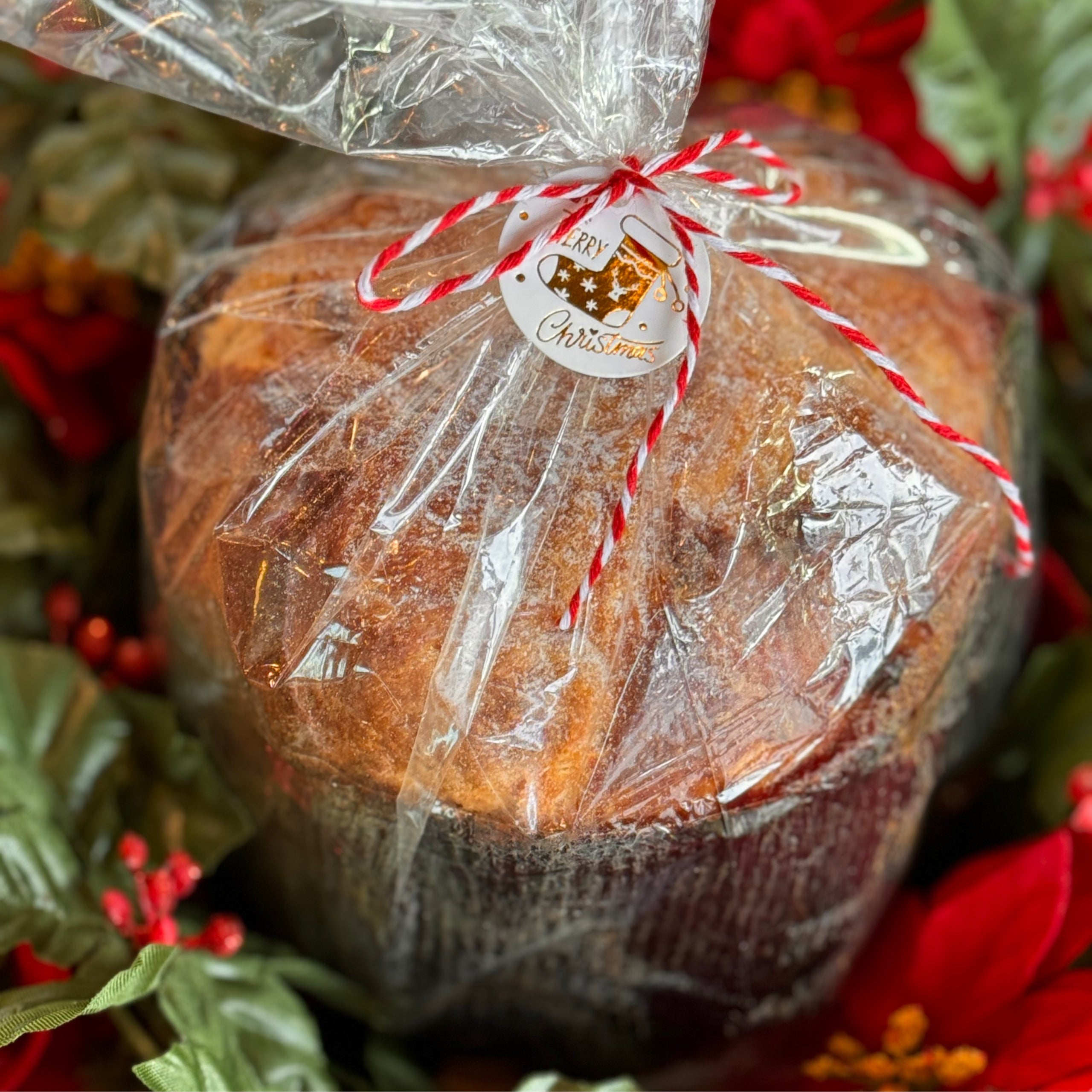 Panettone 1 lb | FUJI BAKERY Seattle